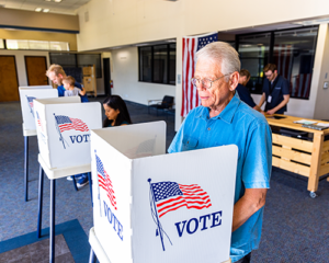 How do you get & cast a ballot? - MI Election Facts