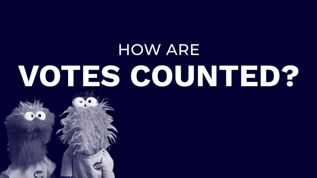 How MI Elections Work - MI Election Facts